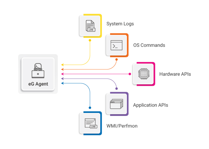 Windows Server Monitoring Software & Solutions | eG Innovations